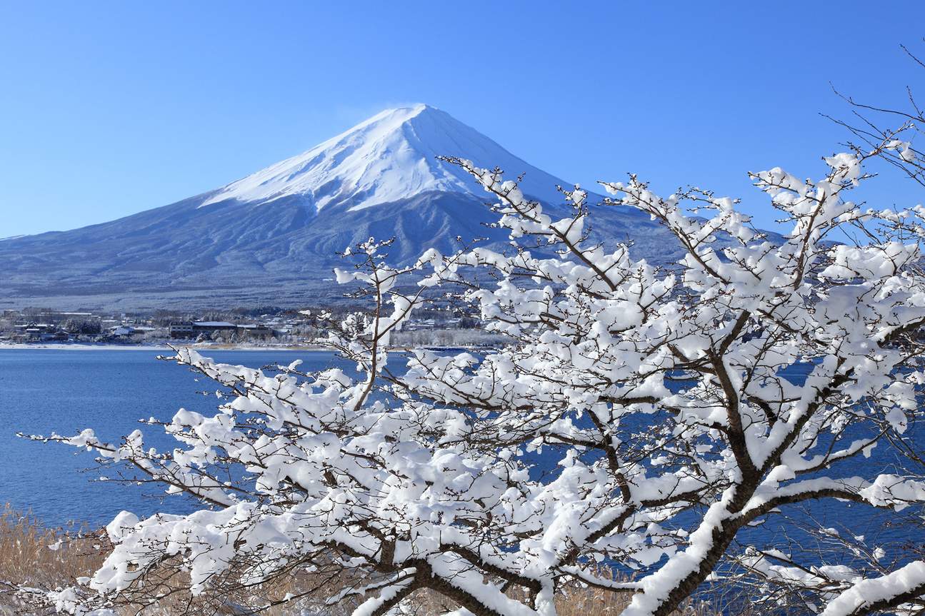 【Fuji Berg Berühmte Landschaft Check-in Tagesausflug】 Kubota Itchiku ...